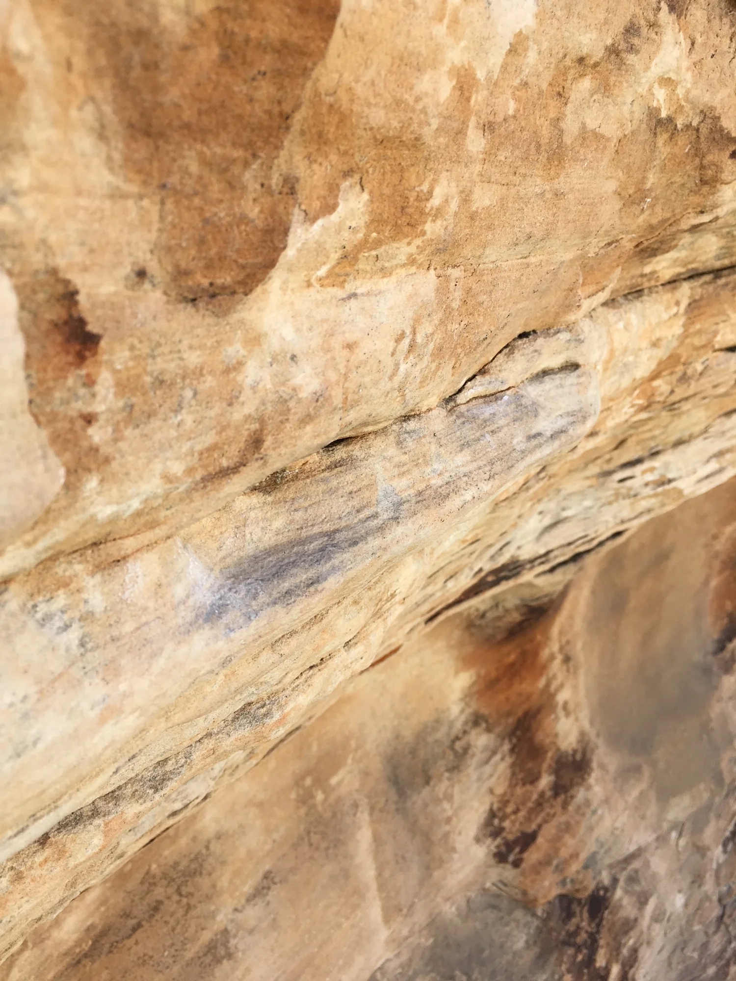 The Prescription—Ground Fall — American Alpine Club