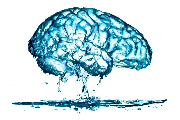 How to Actually Heal and Repair a Leaky Blood-Brain Barrier — Optimal ...