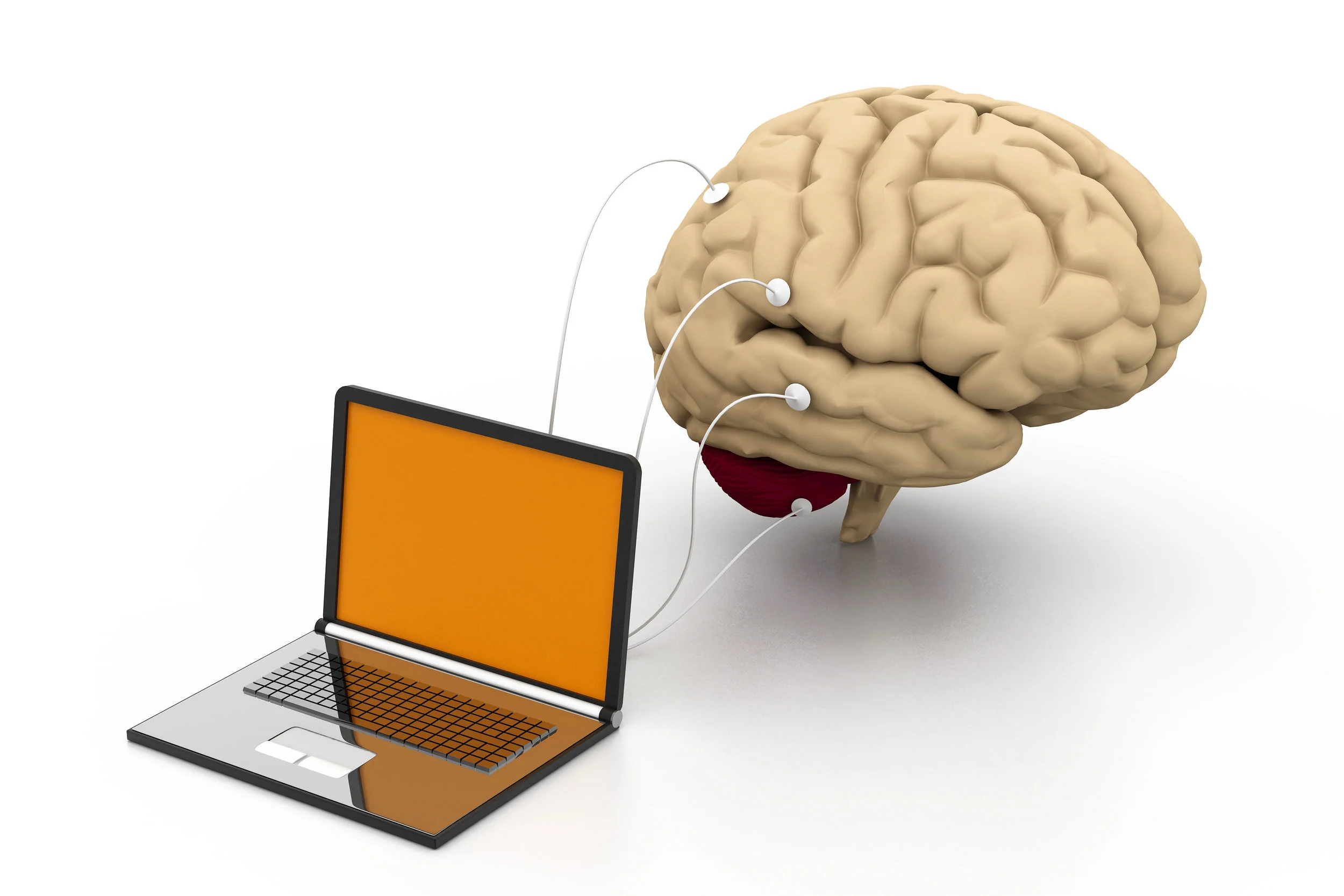 A Powerful Protocol Proven to Help Reverse Brain Damage — Optimal ...