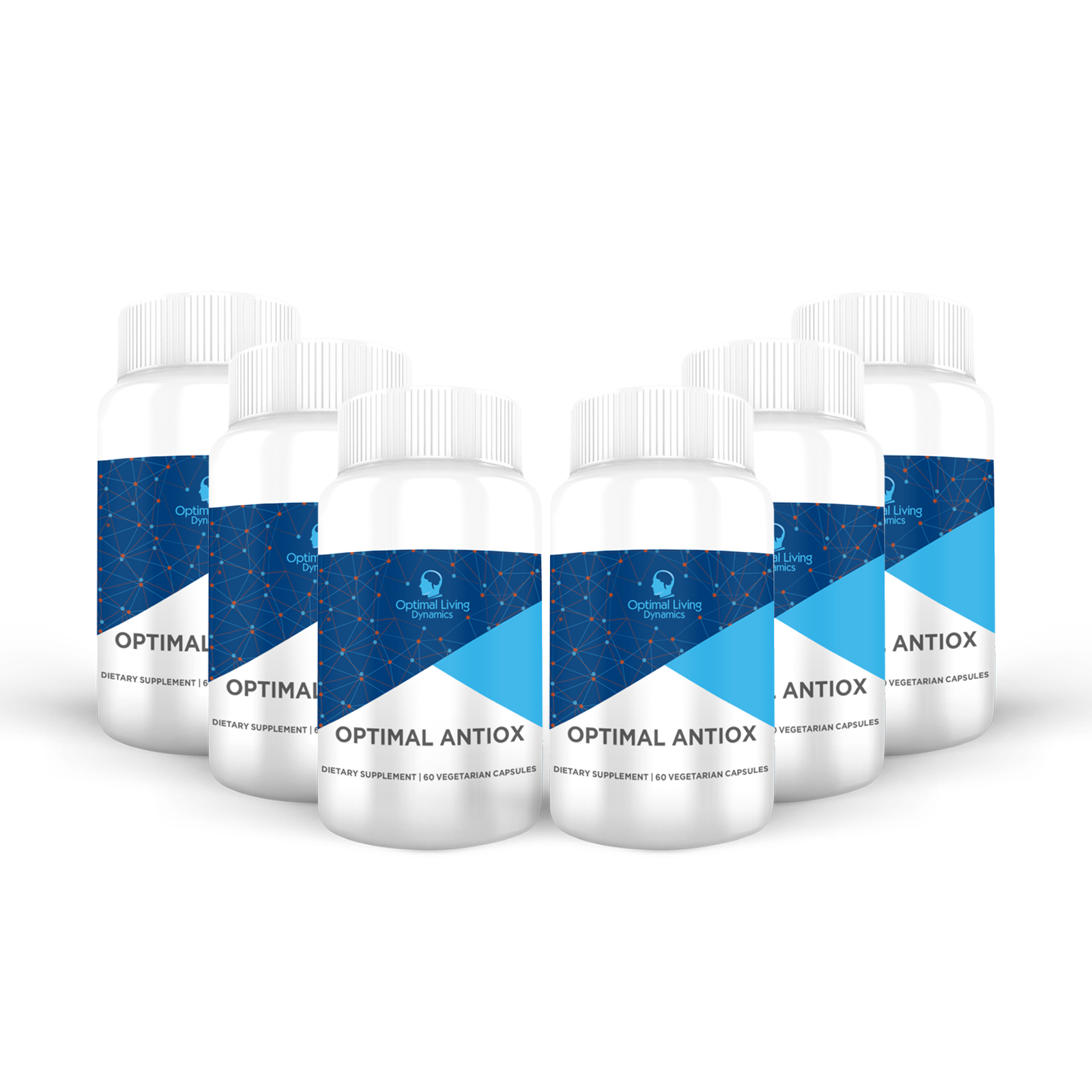 Bundles — Optimal Living Dynamics