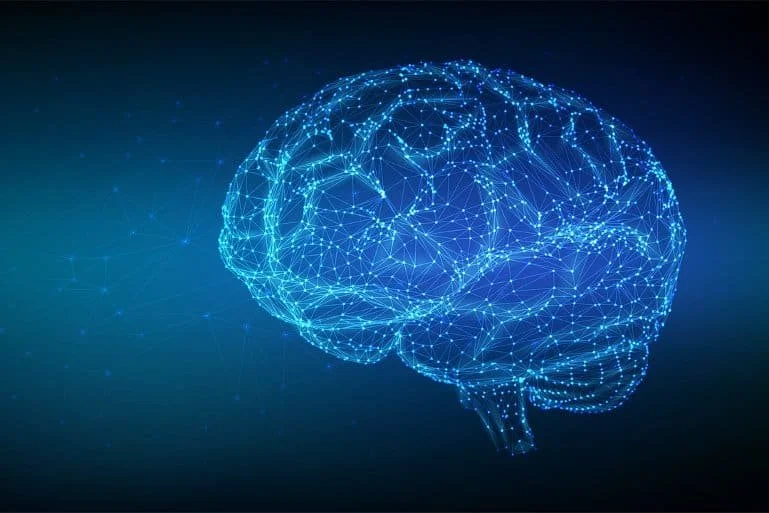 29 Effective Ways to Reduce Excess Glutamate in the Brain — Optimal ...