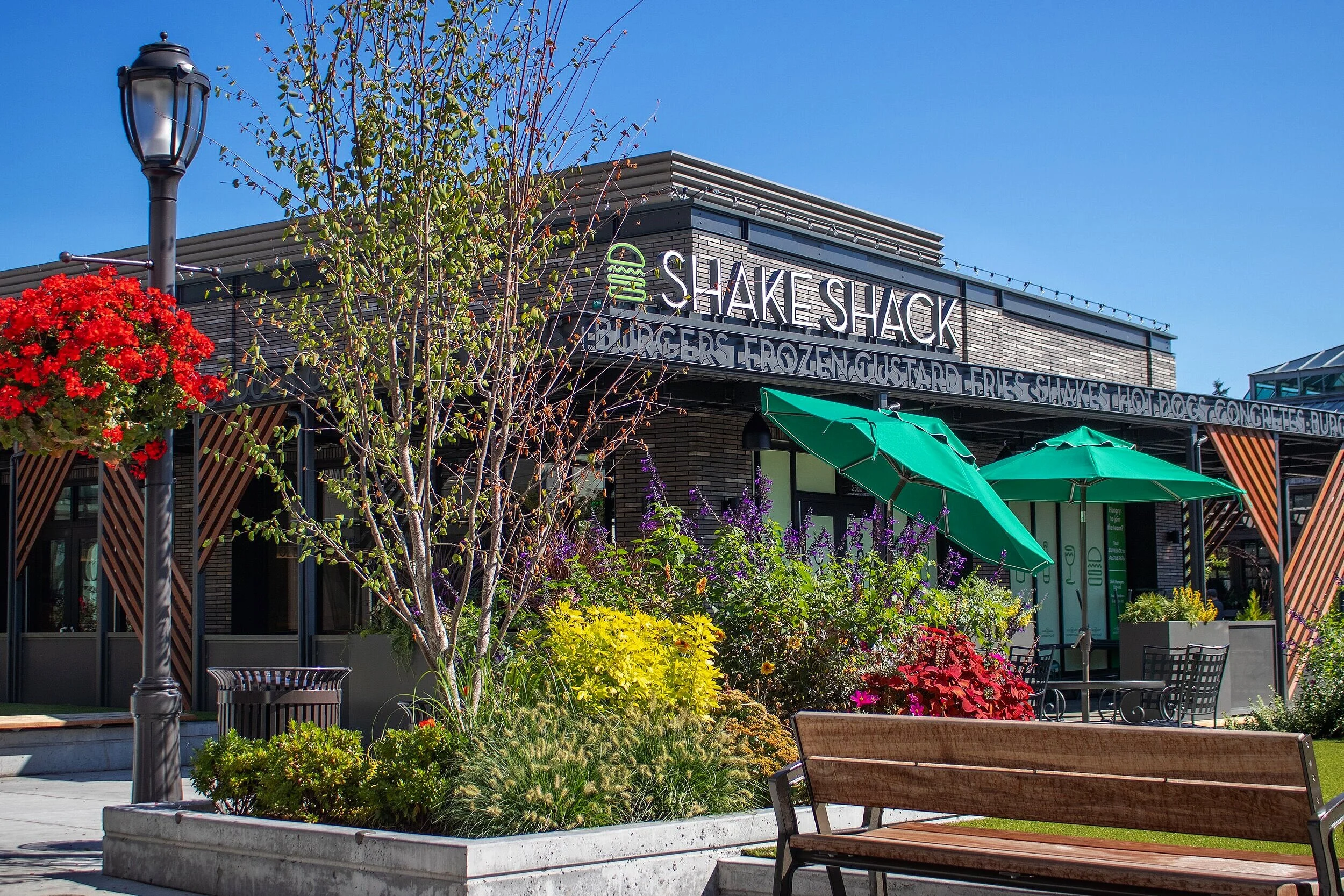 Store Fronts — Shugart Wasse Workshop