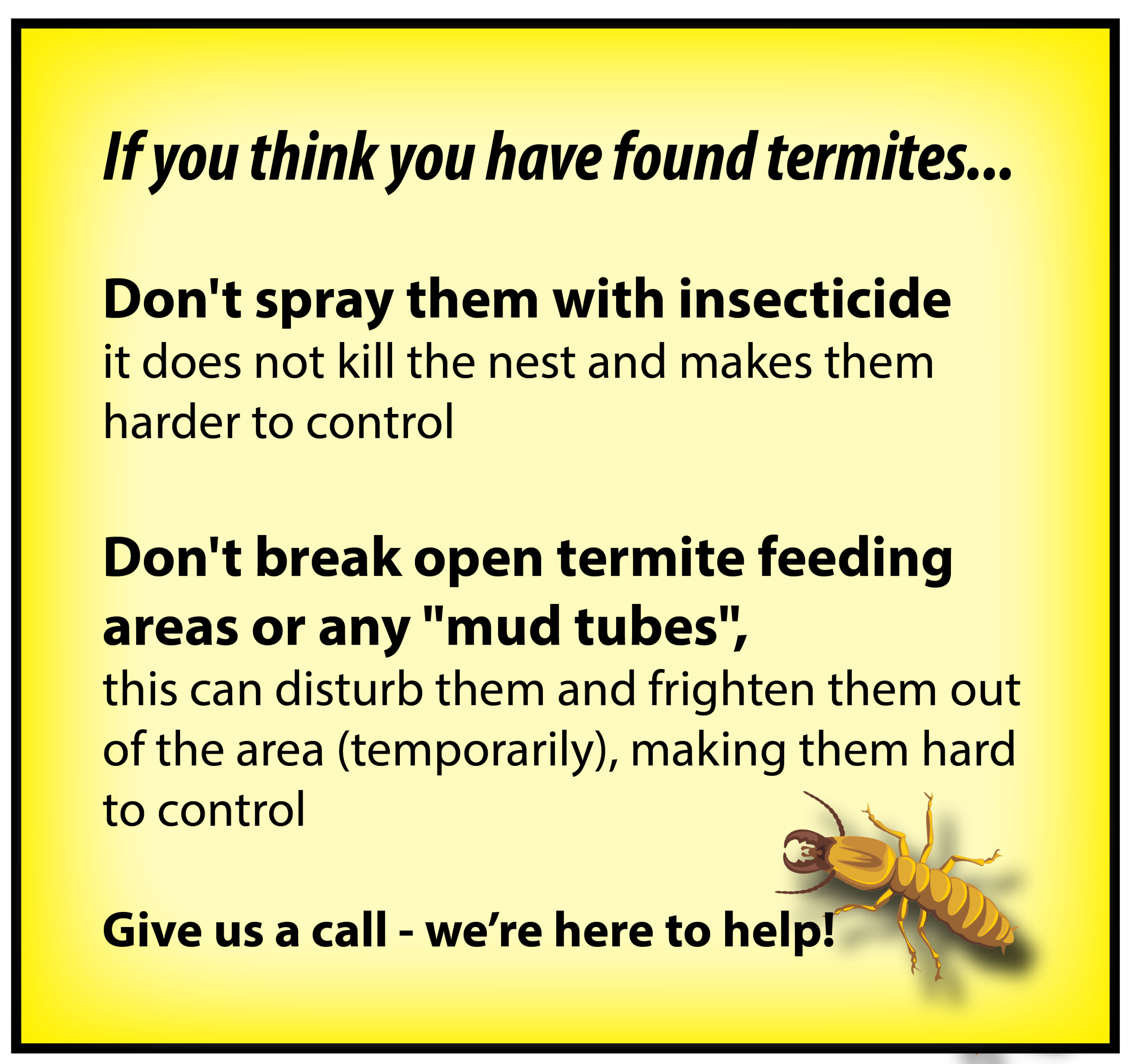 Termite Treatment Gold Coast | Termite Specialist