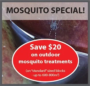 Special offers | Gold Coast Pest Services
