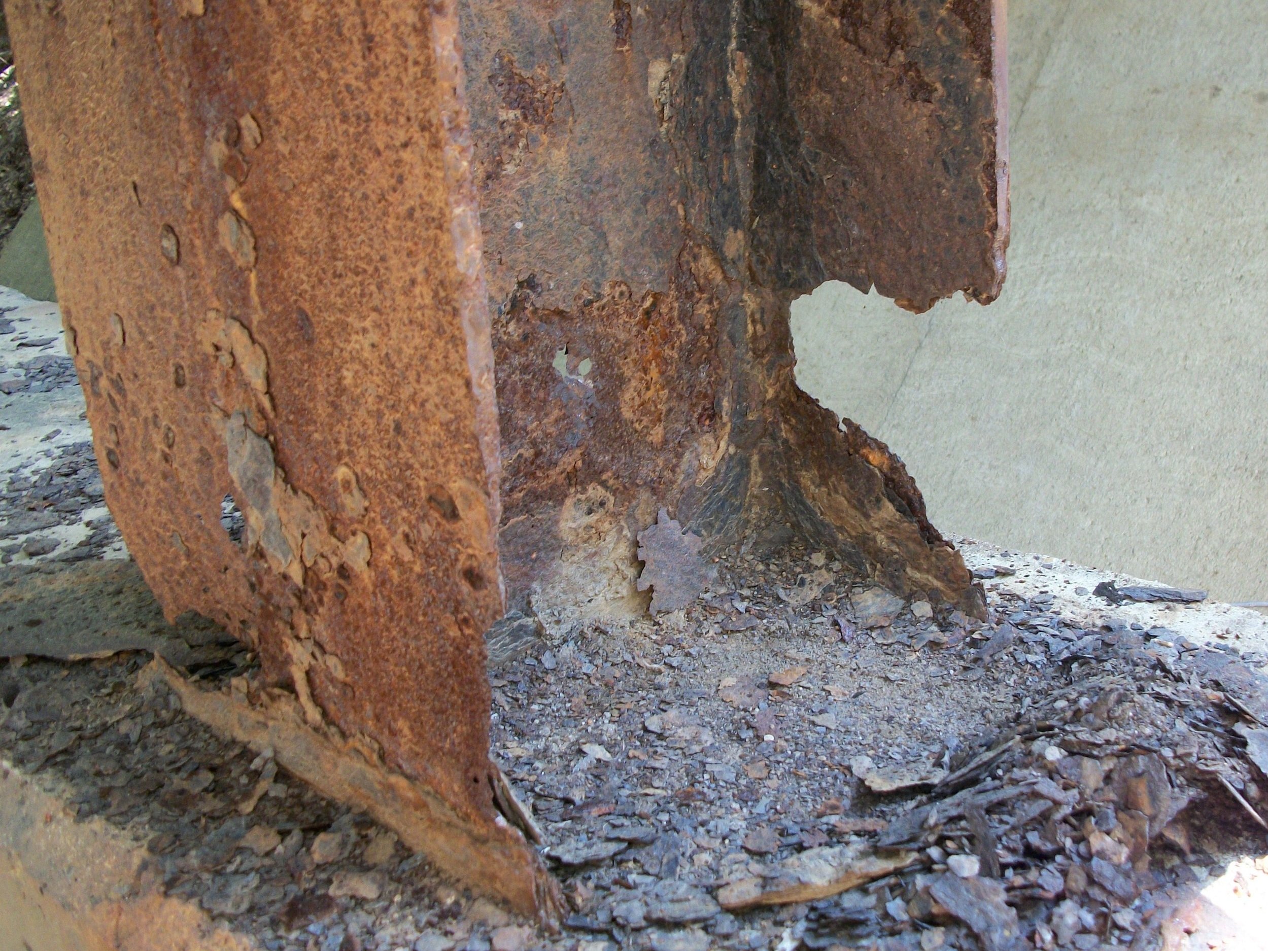 Biltmore Estate Bridges — Alpha & Omega Group