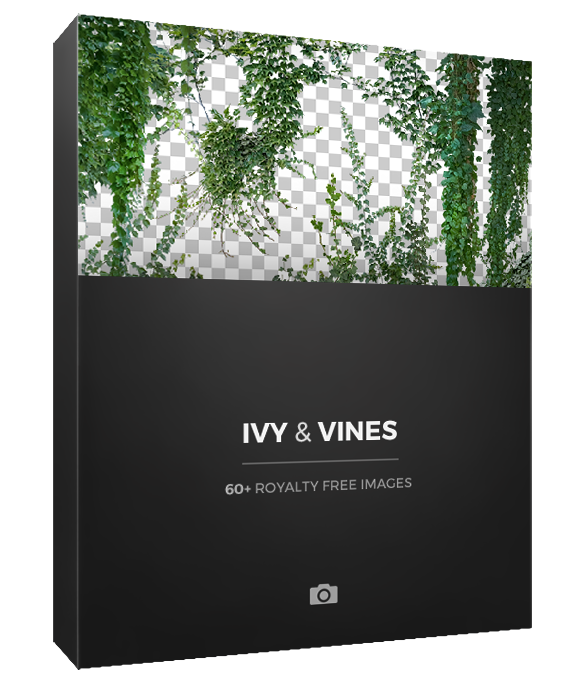 IVY & VINES - PHOTOBASH - High Quality Reference Photos & Masked PNGs for Artists & Creatives