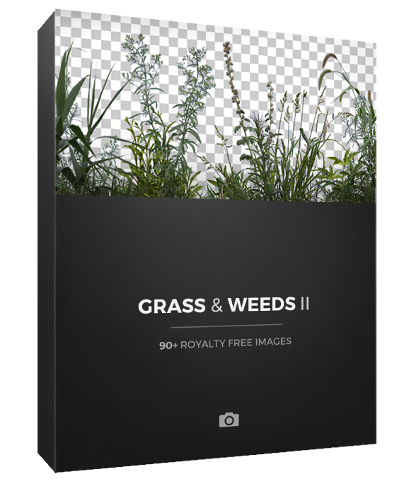 GRASS & WEEDS II - PHOTOBASH - High Quality Reference Photos & Masked ...