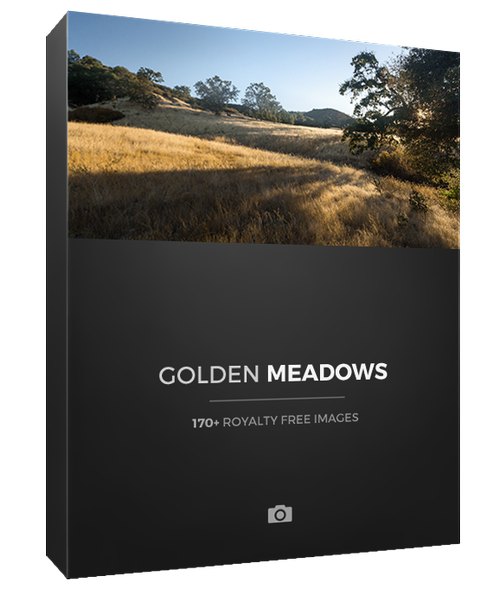 GOLDEN MEADOWS - PHOTOBASH - High Quality Reference Photos & Masked ...