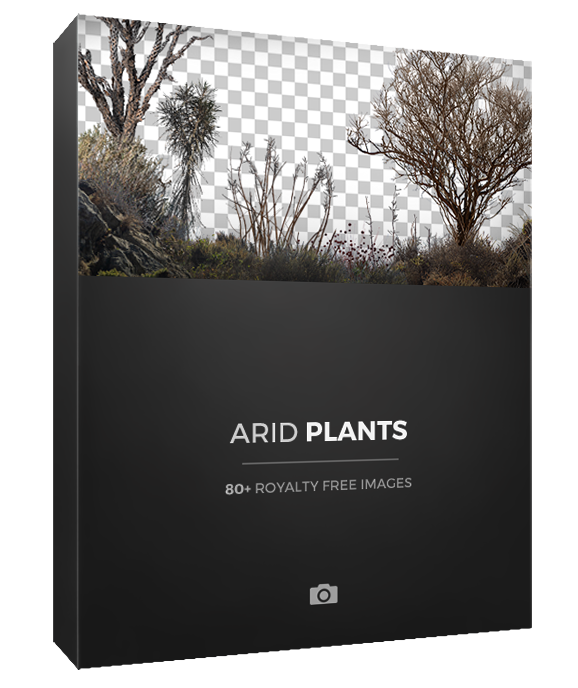 ARID PLANTS - PHOTOBASH - High Quality Reference Photos & Masked PNGs ...