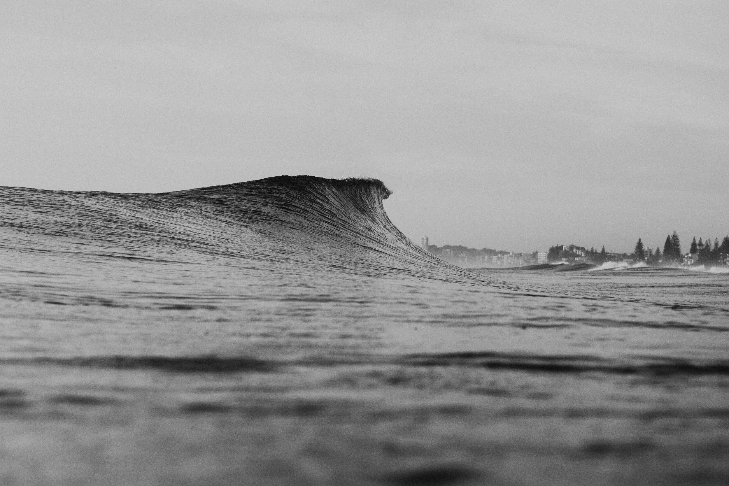 Surf — Sink or Surface