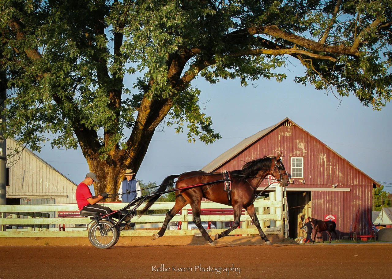 THE RED MILE — ALL ABOUT THE RACE