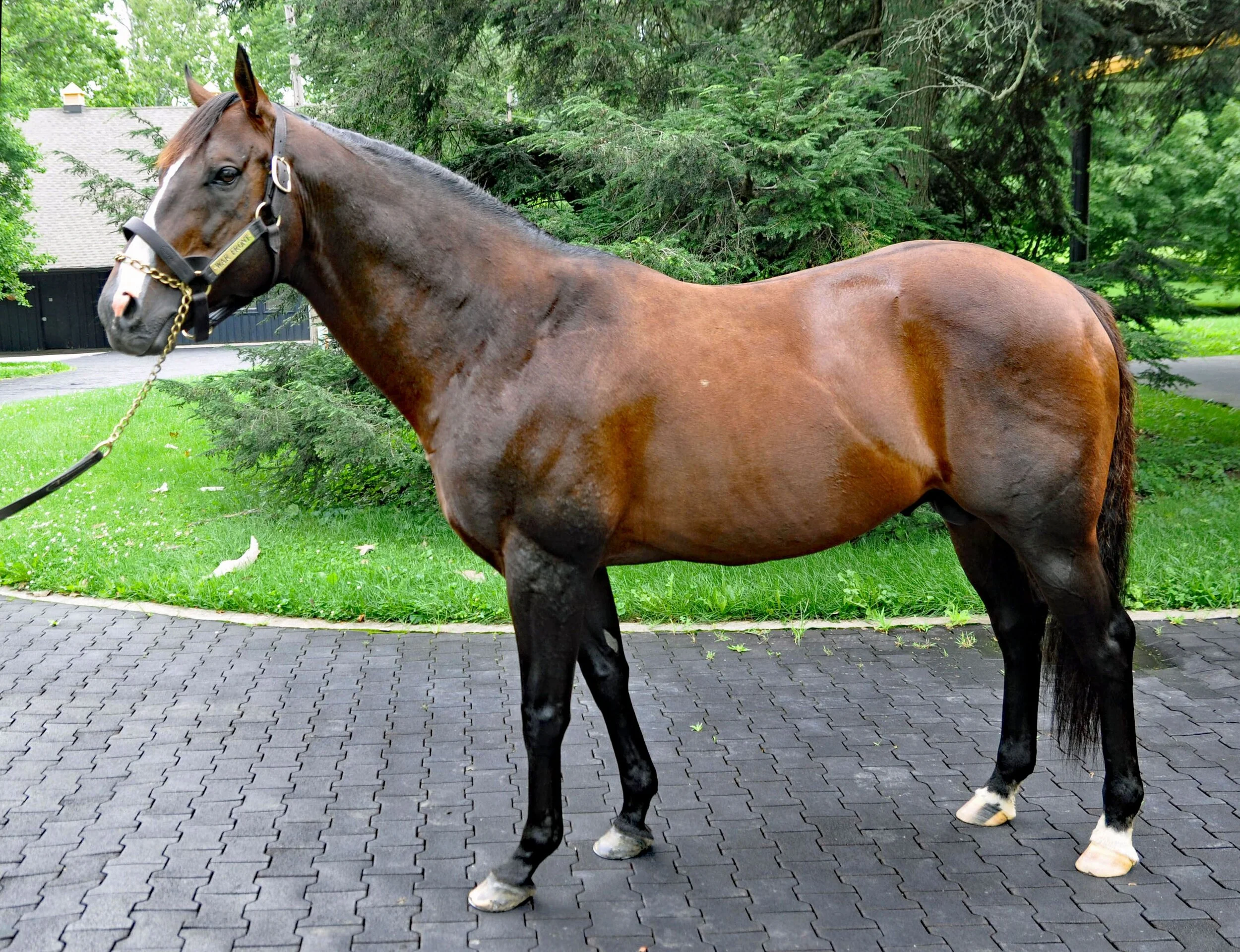 Claiborne Farm Lexington Kentucky