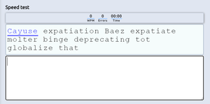 Touch Typing — Museum of Perth