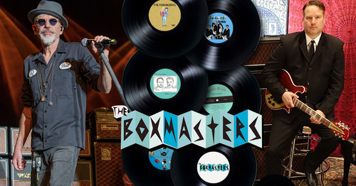 The Vinyl Guide: Vinyl Record Podcast: