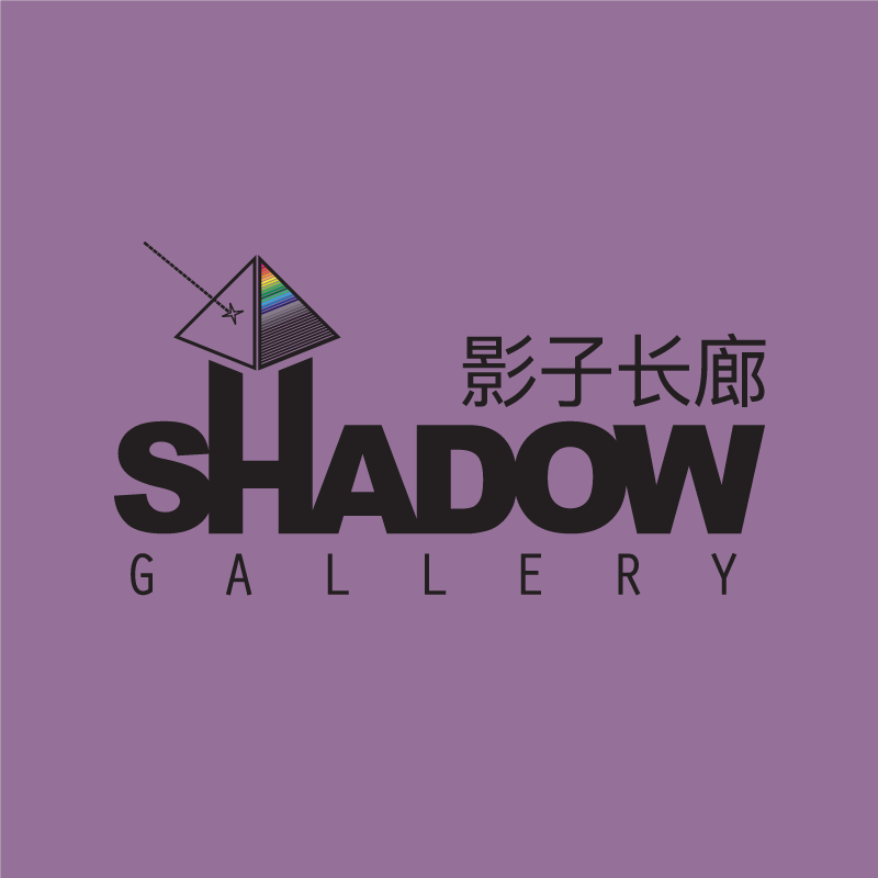 Shadow Logo Design