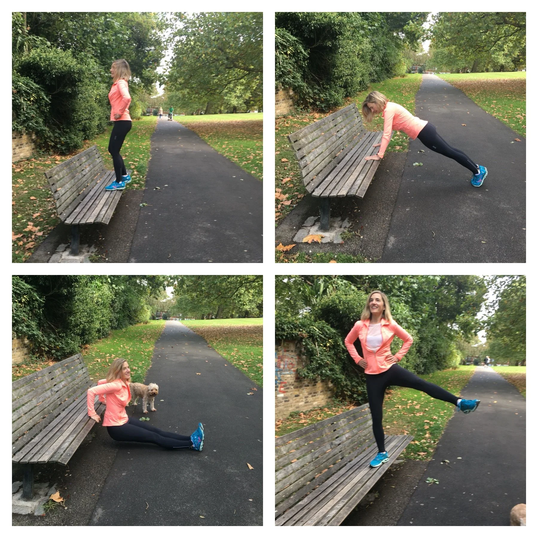 Park Bench Step Ups