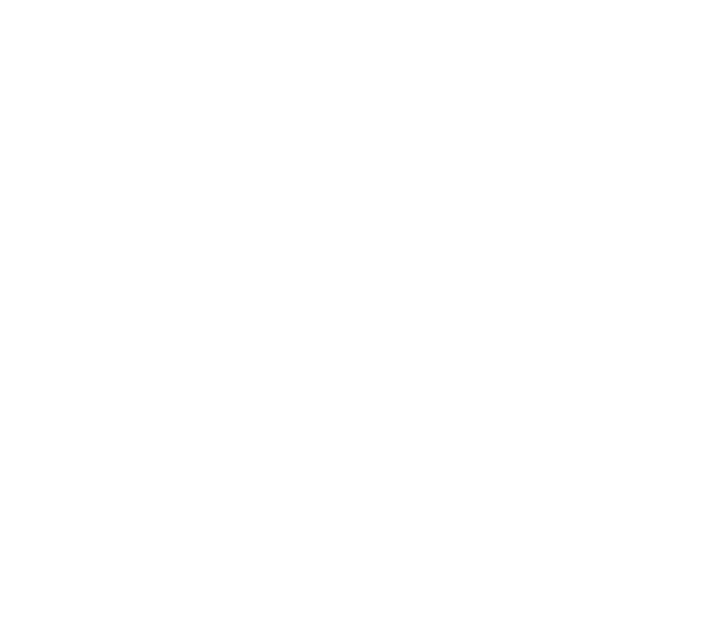 Jarrett Ott