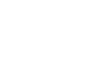 Jarrett Ott