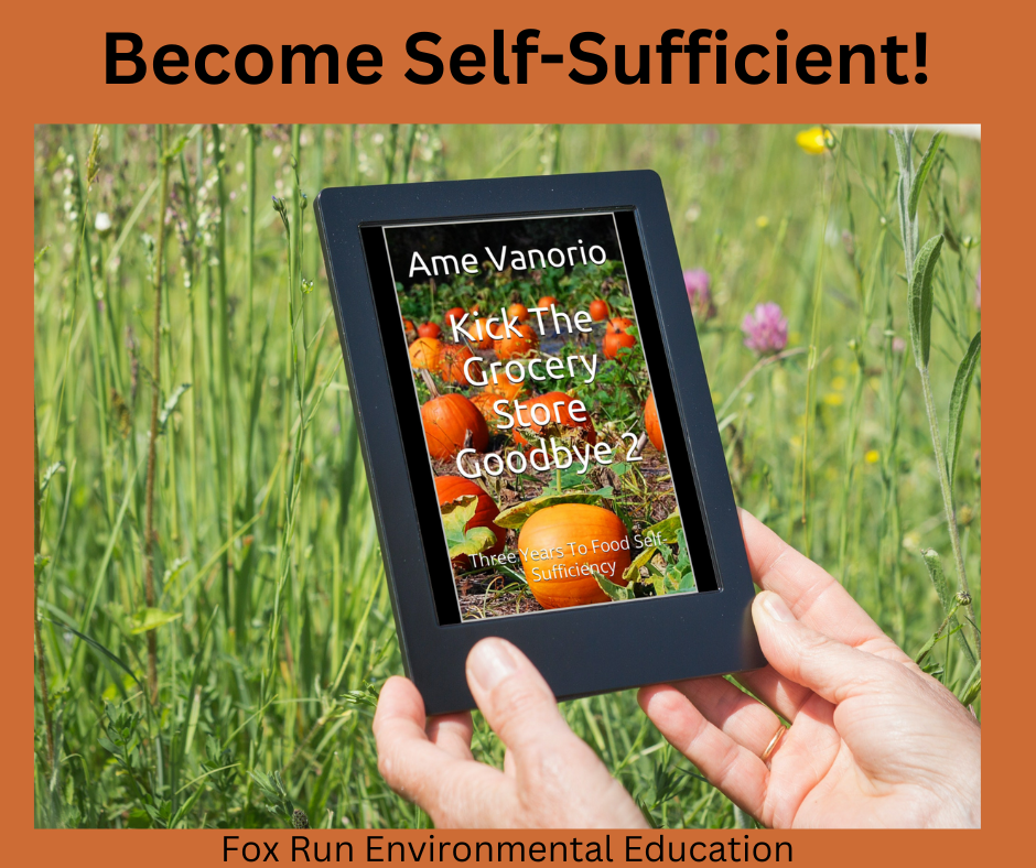 Grow Brussels Sprouts in Zone 6B — Fox Run Environmental Education Center