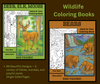 Creek Activities For Families and Homeschoolers — Fox Run Environmental ...