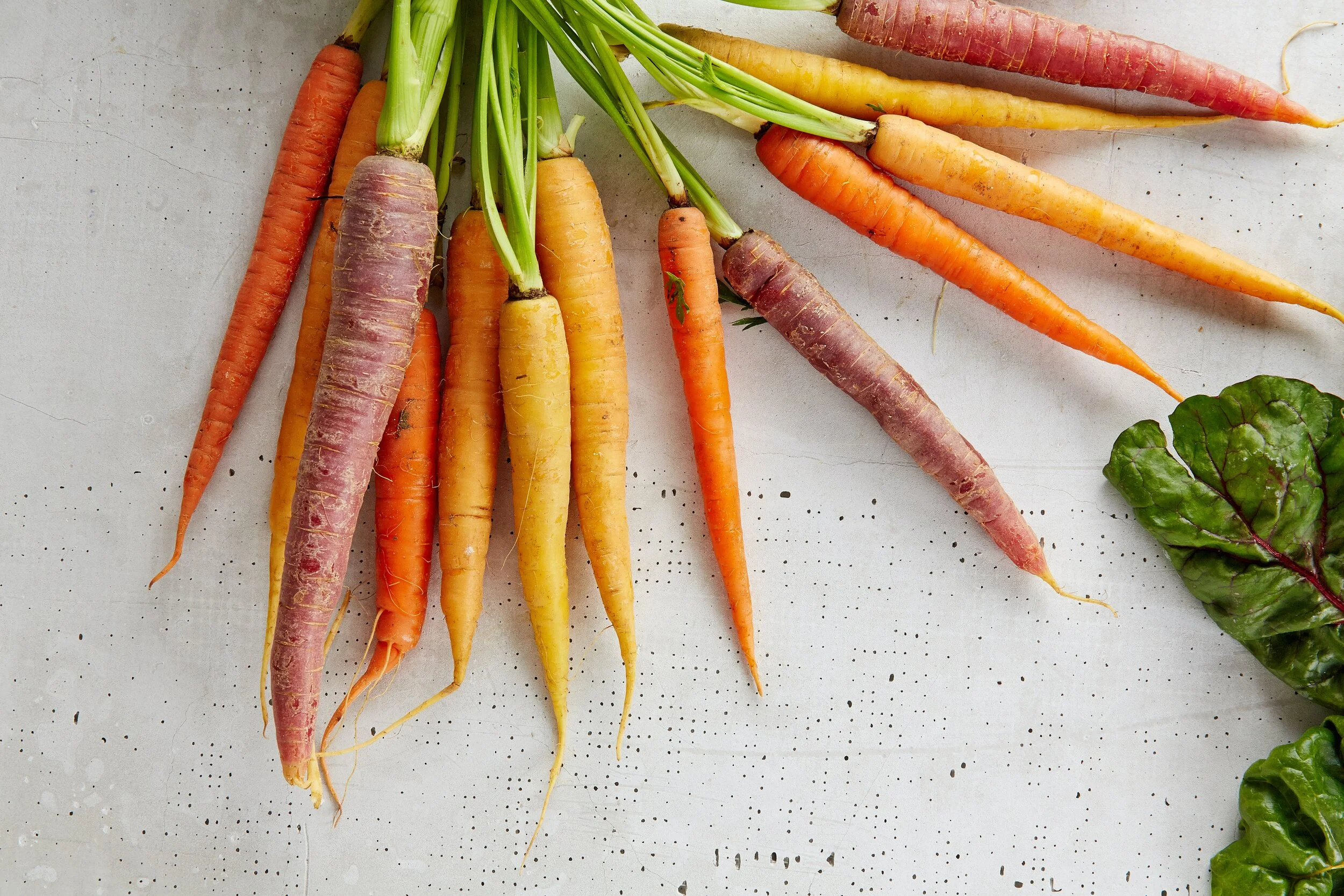 Root Crops in Zone 6B - Growing and Using — Fox Run Environmental ...