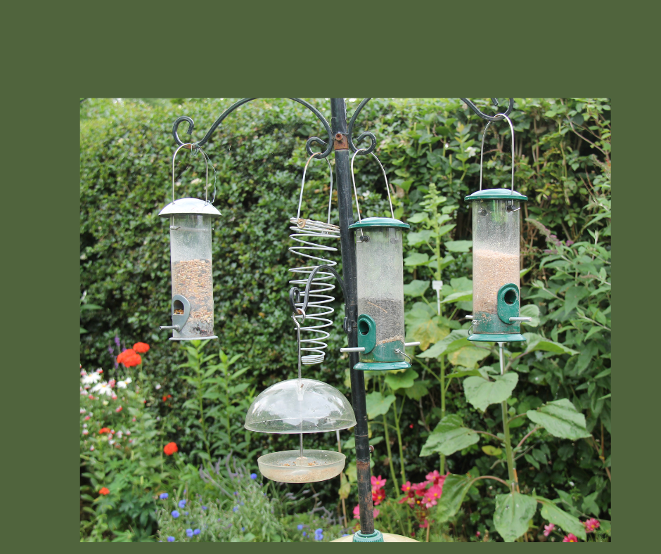 Choosing The Best Bird Feeder — Fox Run Environmental Education Center