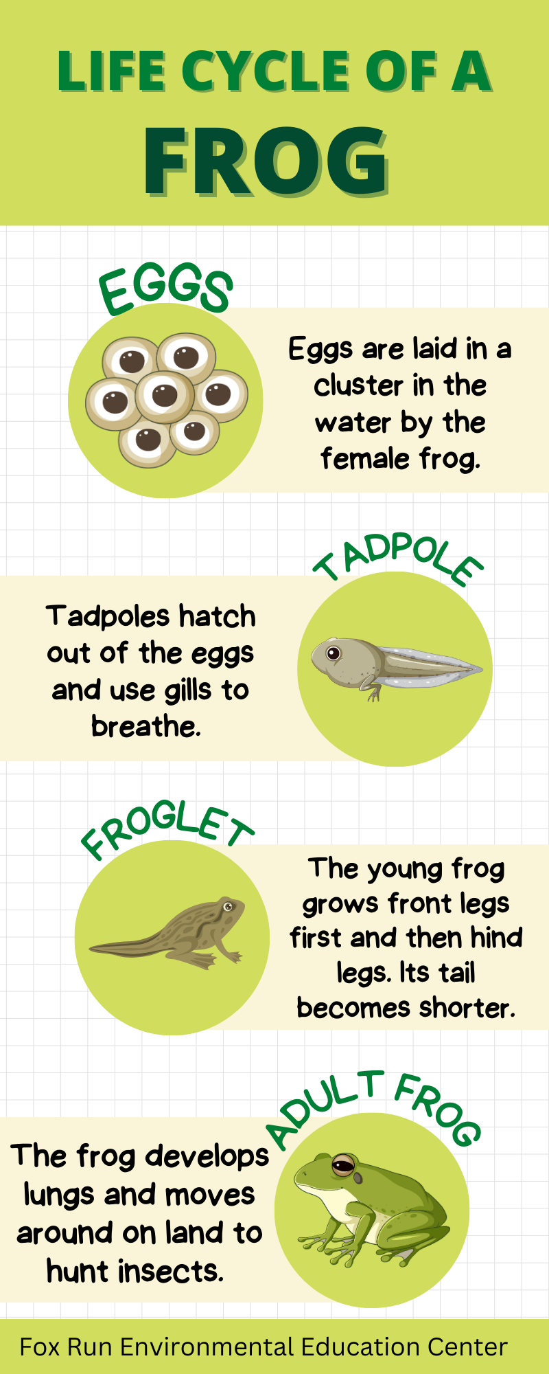 Resources and Free Downloads — Fox Run Environmental Education Center ...