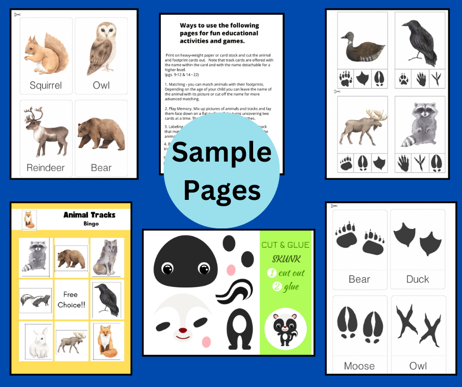 Wildlife Tracks PreK - 1 Learning Adventure: Games and Activities — Fox ...