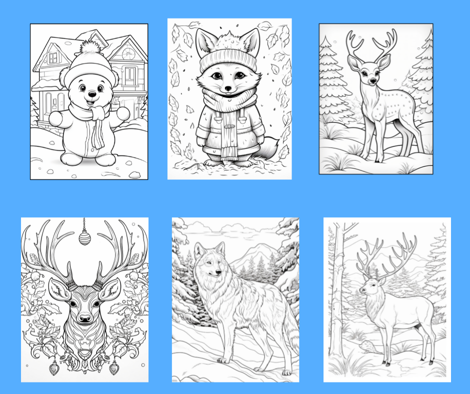 Winter Wildlife Coloring Pages - PDF download — Fox Run Environmental ...
