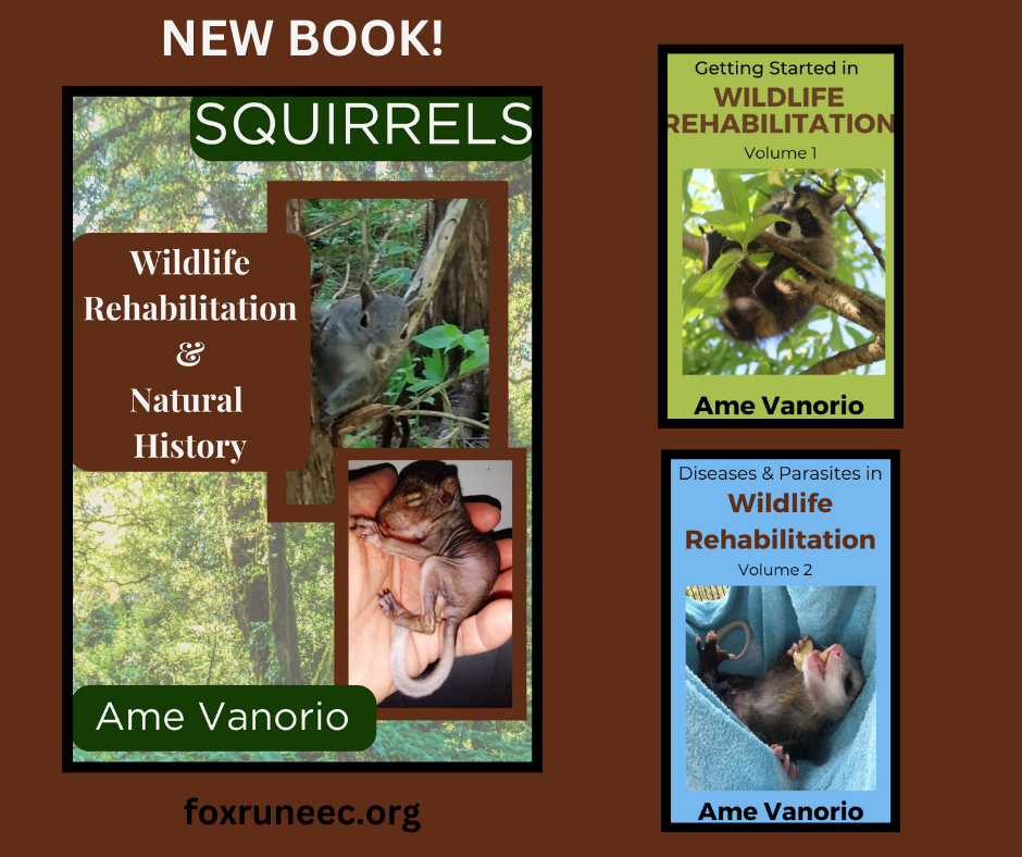 How To Become A Licensed Wildlife Rehabilitator — Fox Run Environmental ...