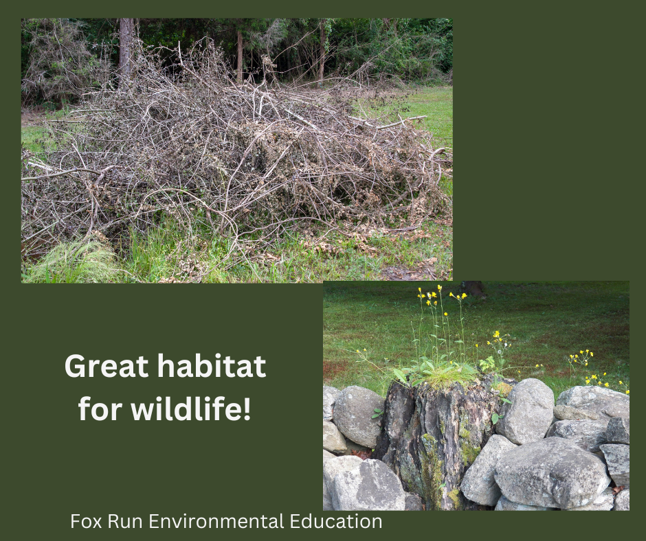 Build a Hibernaculum For Snakes, Frogs, and Insects — Fox Run ...