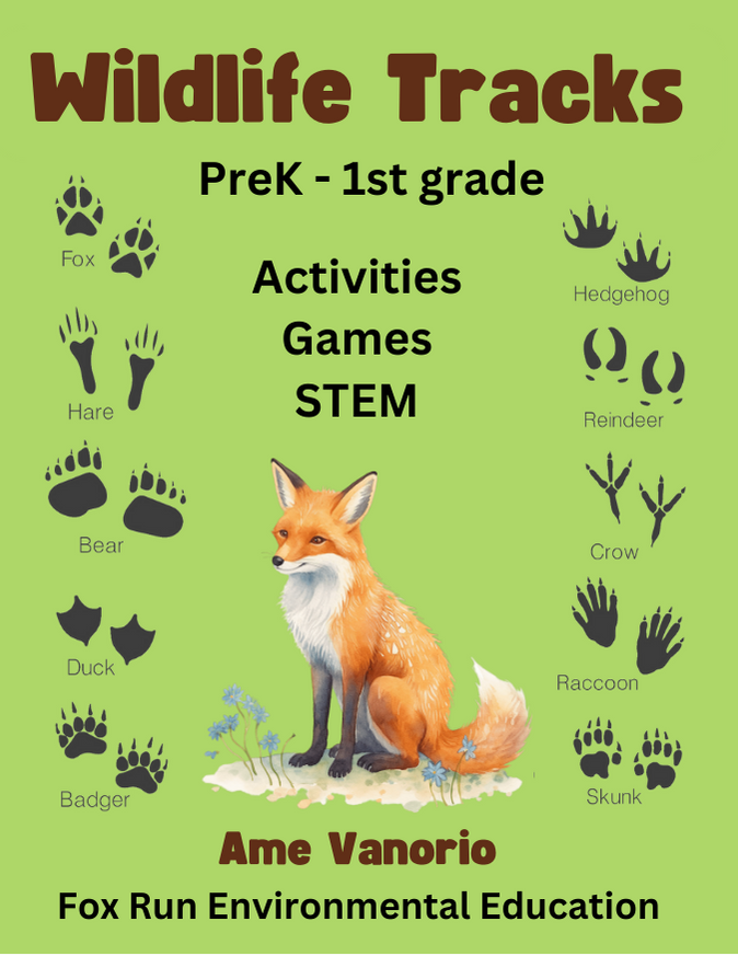 Forest Sensory Walk: Fun Nature Activities For Young Children — Fox Run ...
