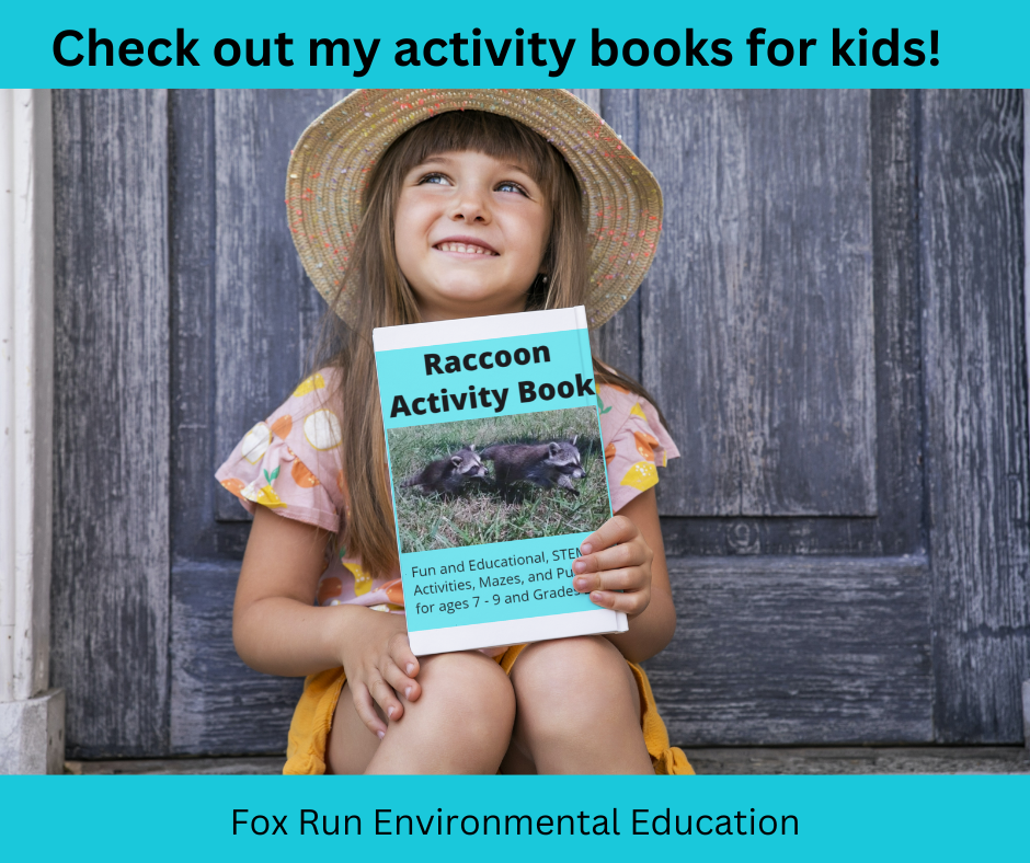 Creating Bluebird Habitat in Your Backyard — Fox Run Environmental ...