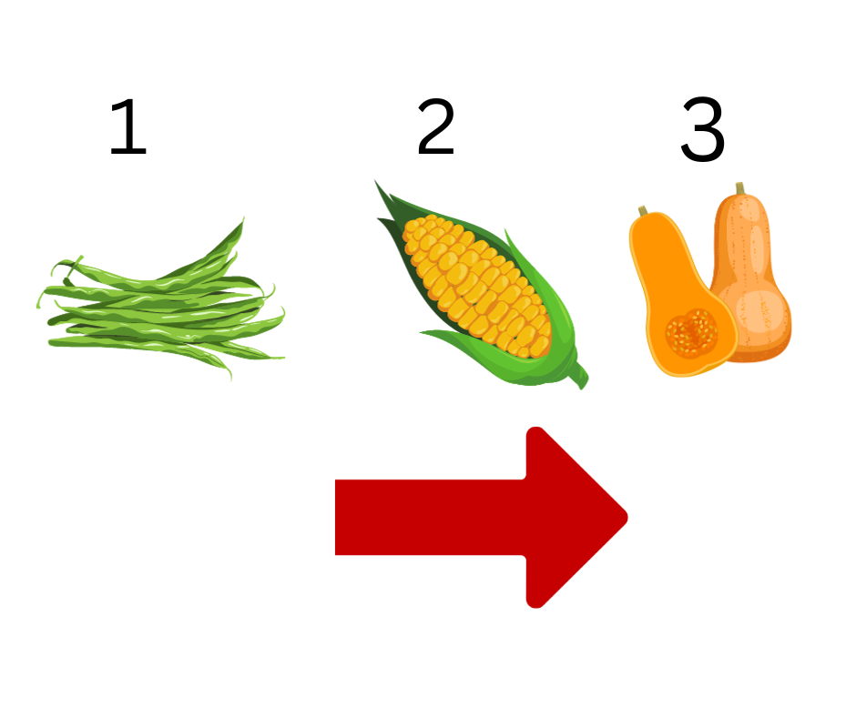 Crop Rotation - A Simple Yet Highly Effective Strategy — Fox Run ...
