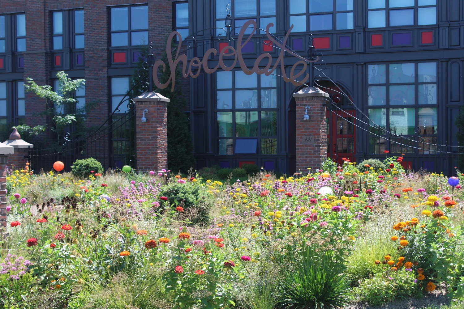 Growing Zinnias For Cut Flowers and Pollination Gardens — Fox Run ...