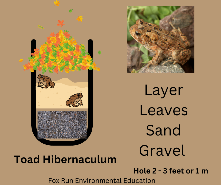 Build a Hibernaculum For Snakes, Frogs, and Insects — Fox Run ...