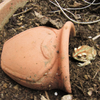 Build a Hibernaculum For Snakes, Frogs, and Insects — Fox Run ...