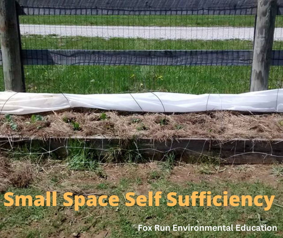 10 Garden Methods To Increase Production — Fox Run Environmental ...