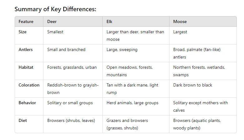 Deer, Elk, Moose: How Do They Compare? — Fox Run Environmental ...