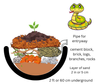 Build a Hibernaculum For Snakes, Frogs, and Insects — Fox Run ...