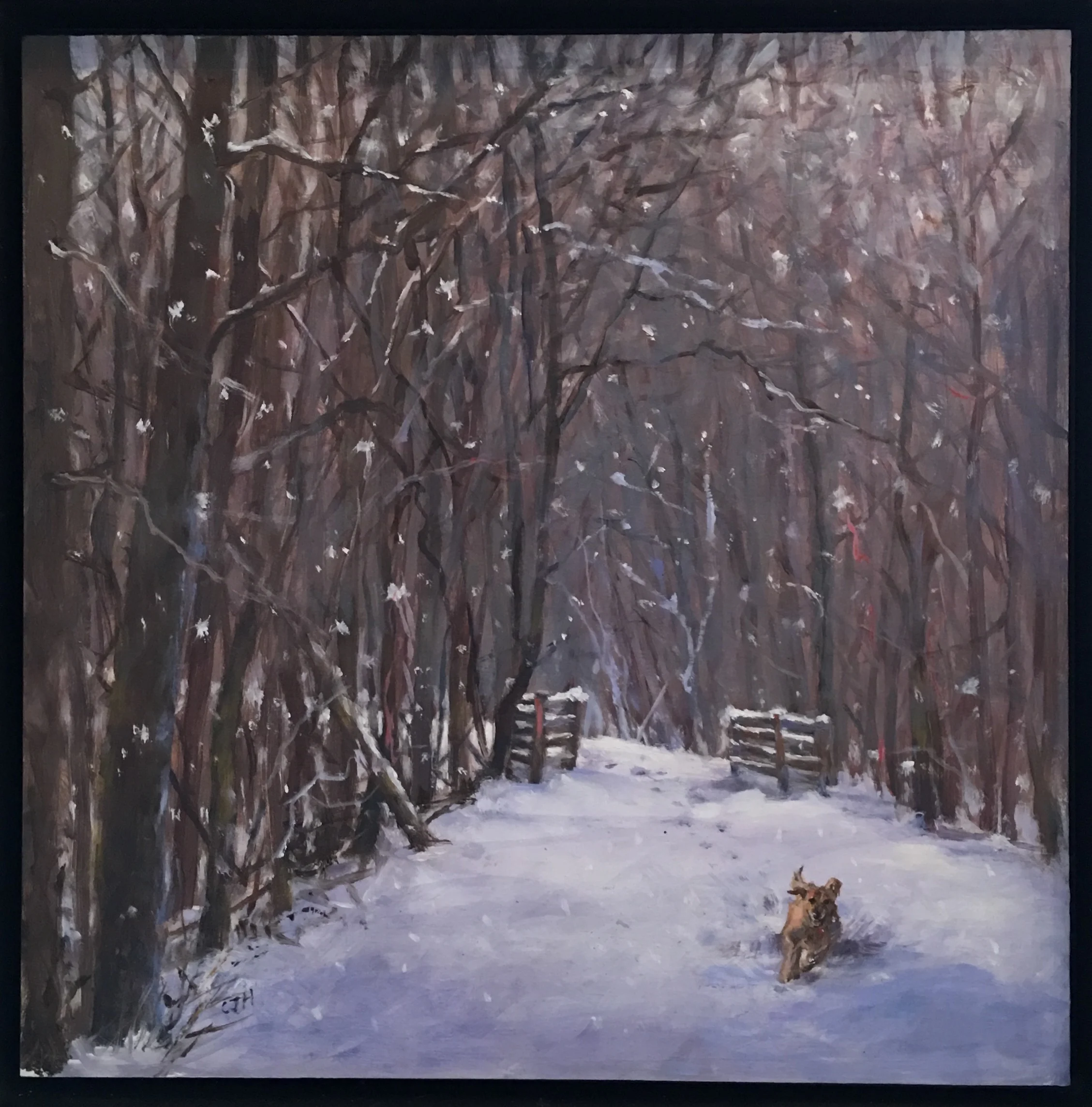 Hayley Gallery, Since 2007 Carolyn Hefelfinger Oil Painter From Sunbury ...