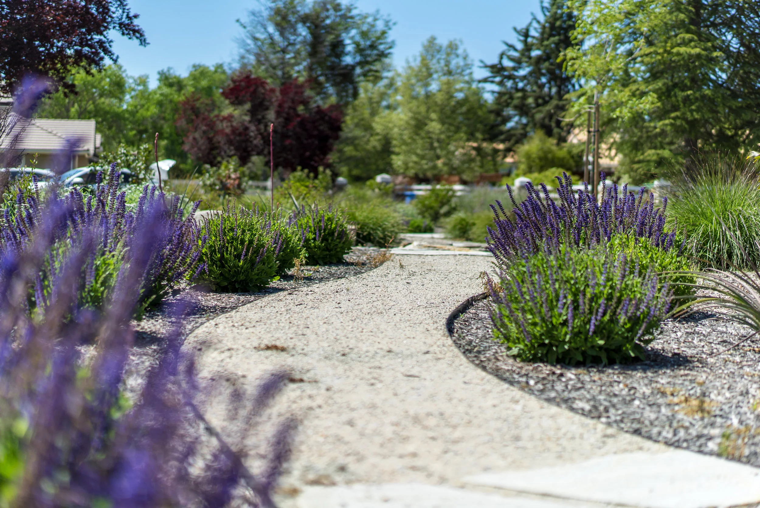 Earth-Pavers — Native Landscape Creations