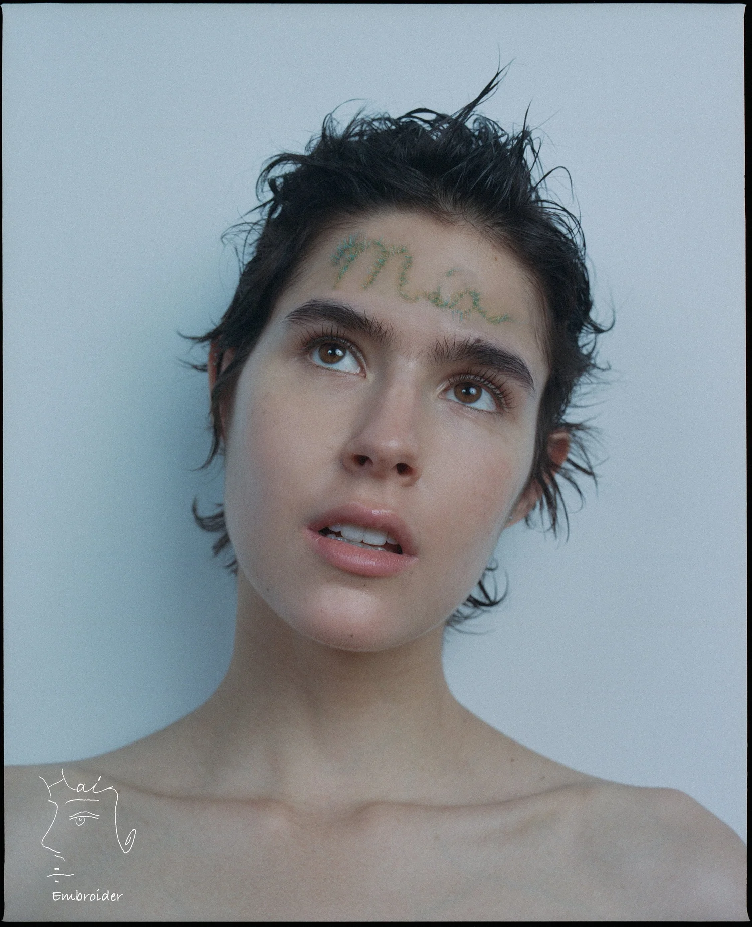 Hair Embroider 2 — HAIR STYLIST - KIYONORI SUDO