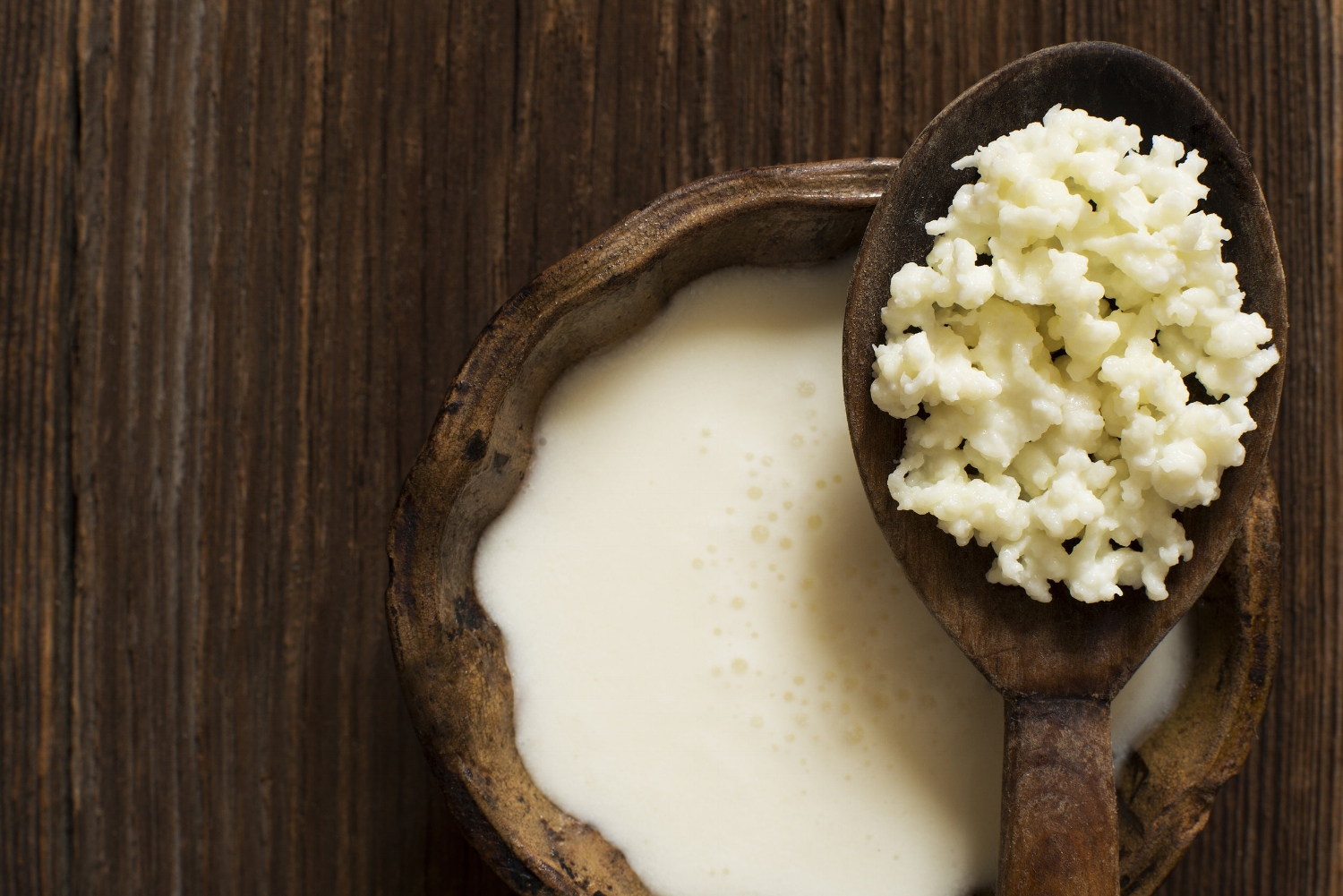 Hvordan man laver kefir - mælkekefir — Hanne Robinson