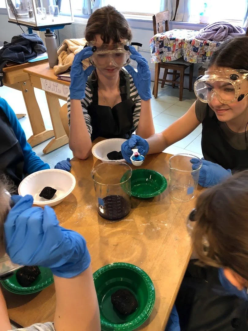 School News & Insights