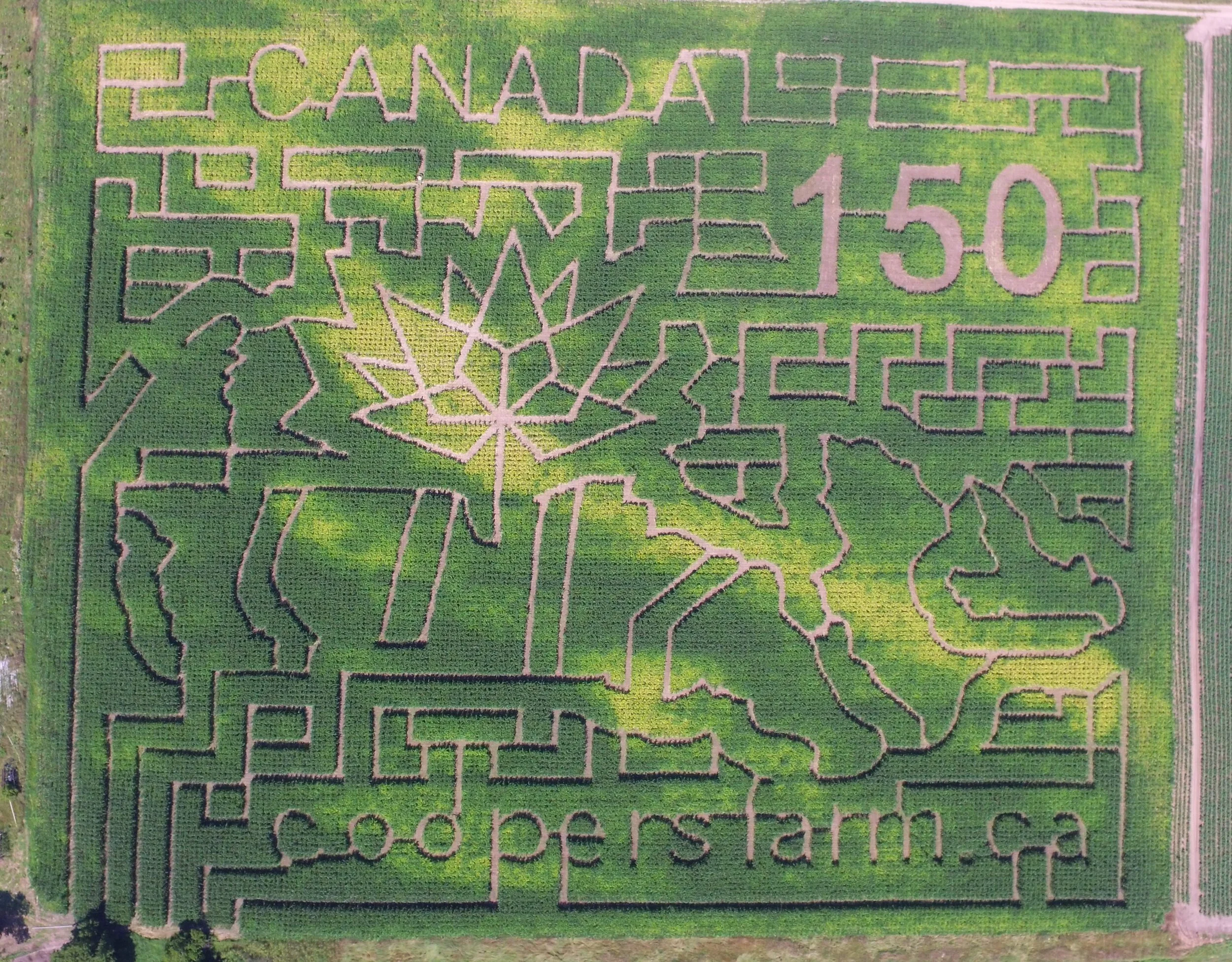 Past Corn Mazes (2006-Present!) — Cooper's CSA Farm