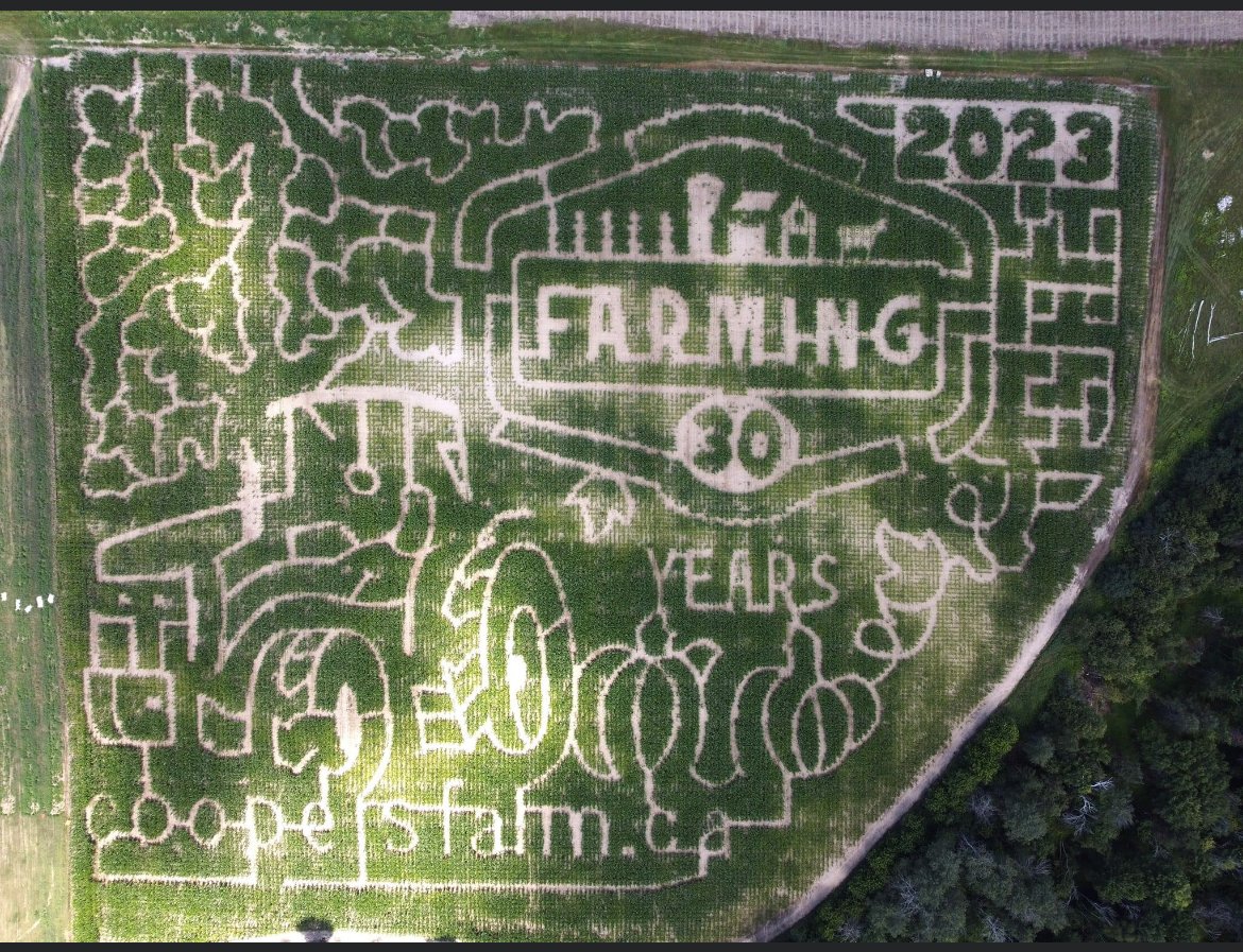 10 Acre Corn Maze — Cooper's CSA Farm