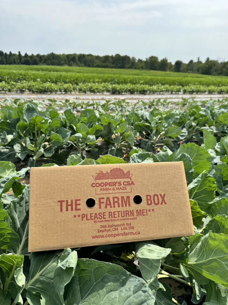 Cooper’s CSA Farm | Online Ordering, Farm Store & Corn Maze