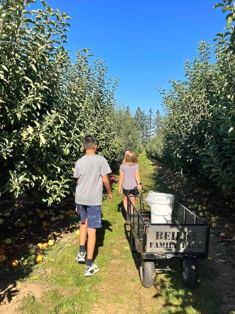 Beilke Family Farm