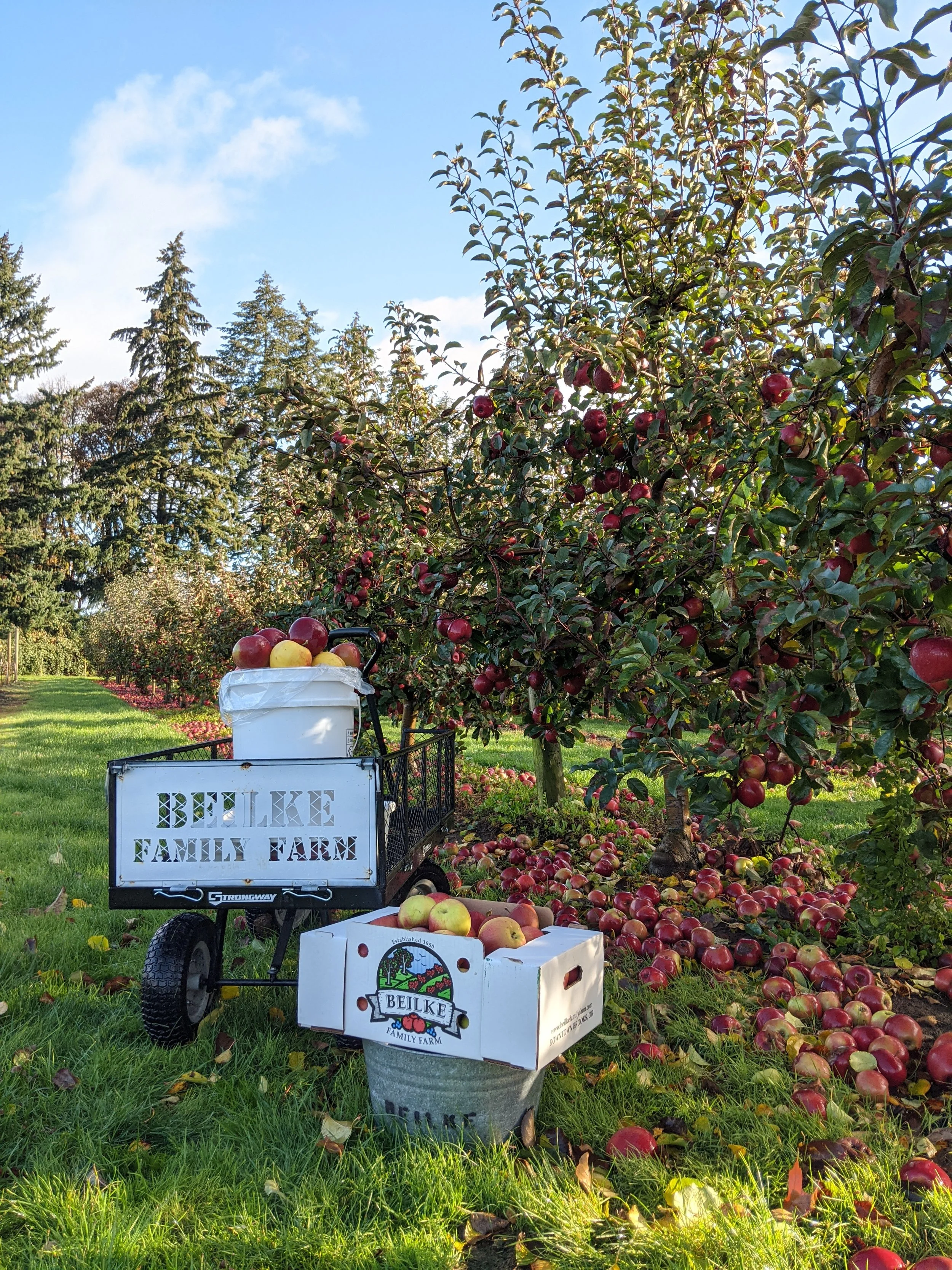 Visit Us — Beilke Family Farm